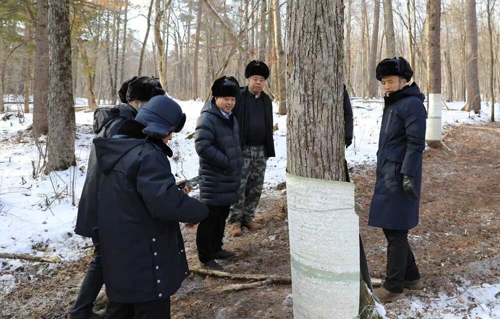 吉林省林业和草原局