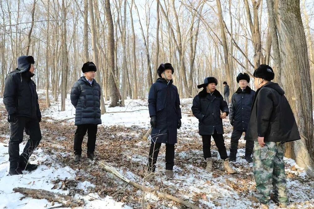 吉林省林业和草原局